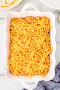 Mexican Trash Casserole - Best Casserole Recipes