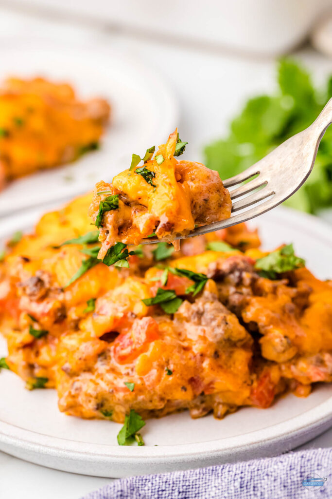 Mexican Trash Casserole - Best Casserole Recipes